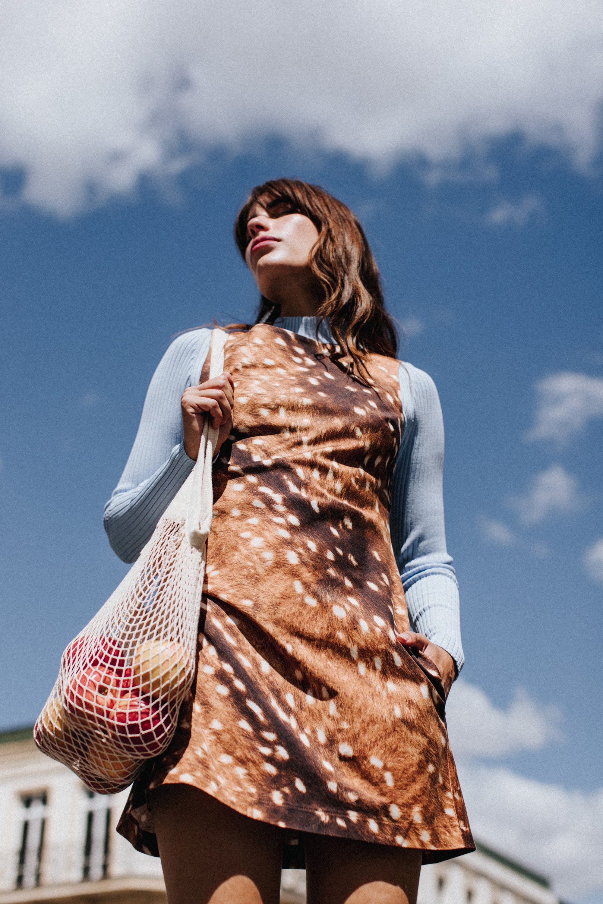 DOMINO BEAST DRESS – Make My Lemonade